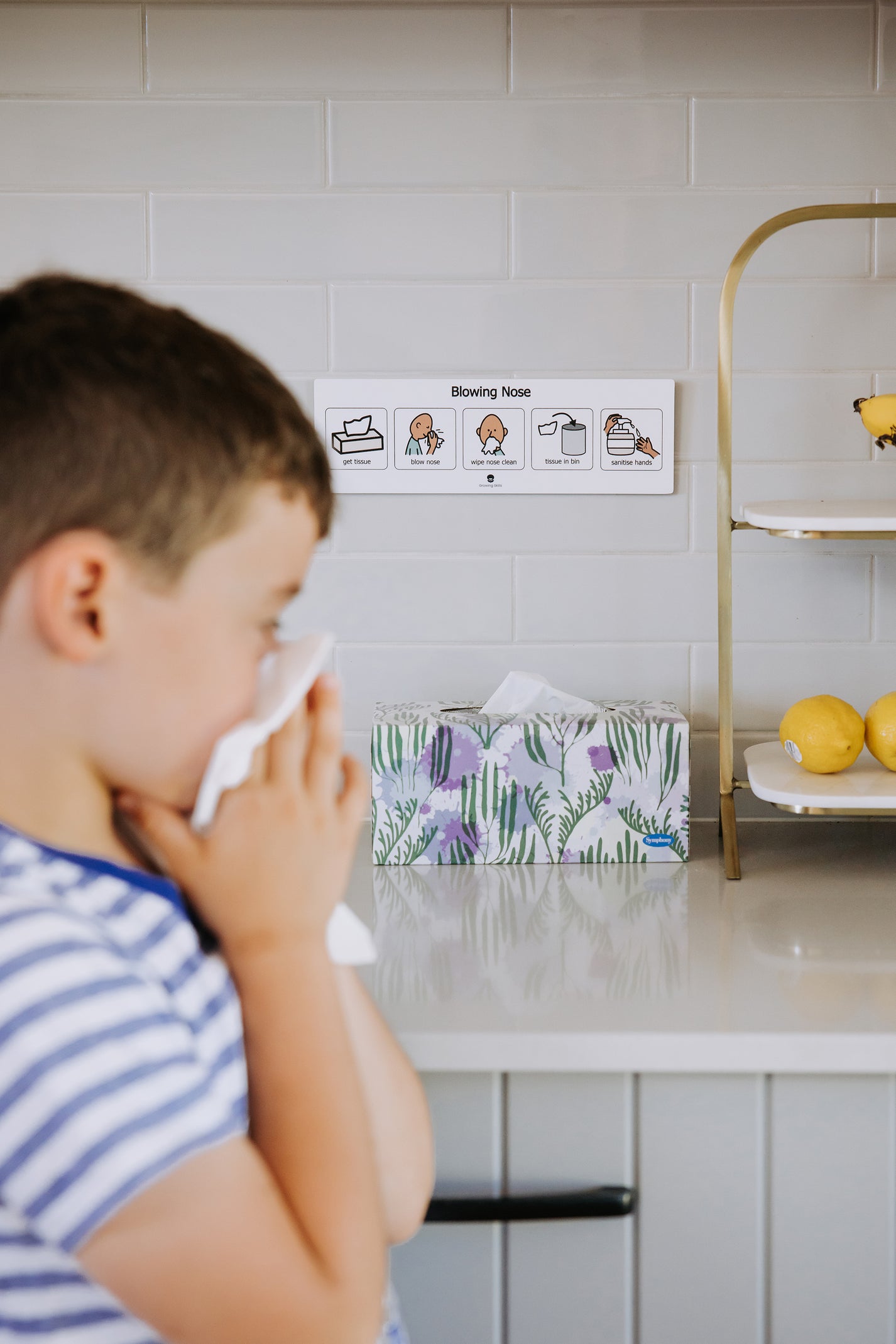 Blowing Nose Visual Aid – Growing Skills Australia